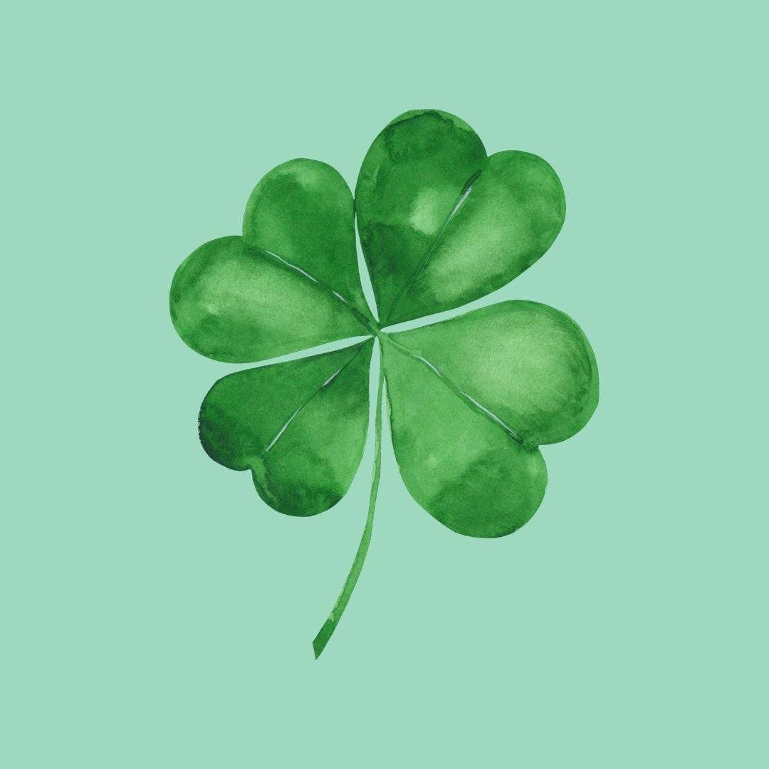 Promotional Products & Gifts for All Season | EverythingBranded USA