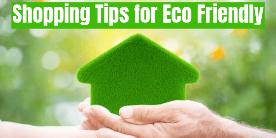 5 Shopping Tips For Buying Eco-Friendly | EverythingBranded USA
