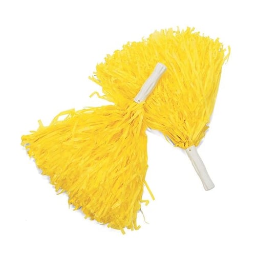 Rally Poms | EverythingBranded USA