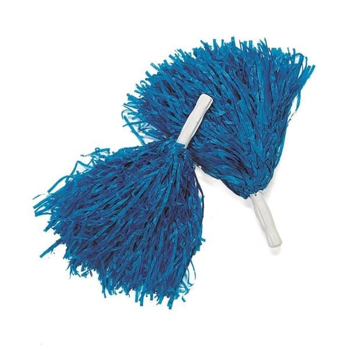 Rally Poms | EverythingBranded USA